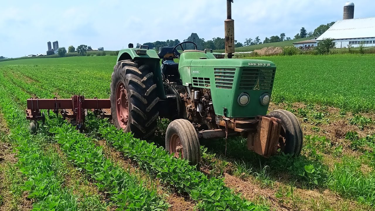 Back in the Field! - YouTube
