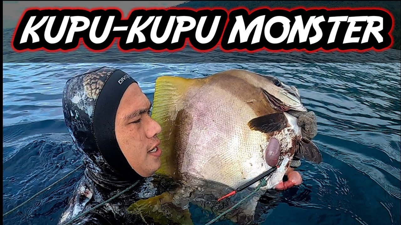 KUPU-KUPU MONSTER SPEARFISHING - YouTube