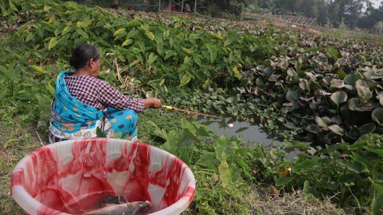 Excellent fishing video 🐠 || The expert old lady fisher fish hunting in ...
