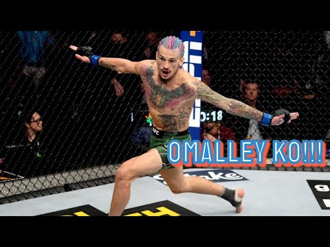 Sean O’Malley WILL KO Petr Yan? - YouTube