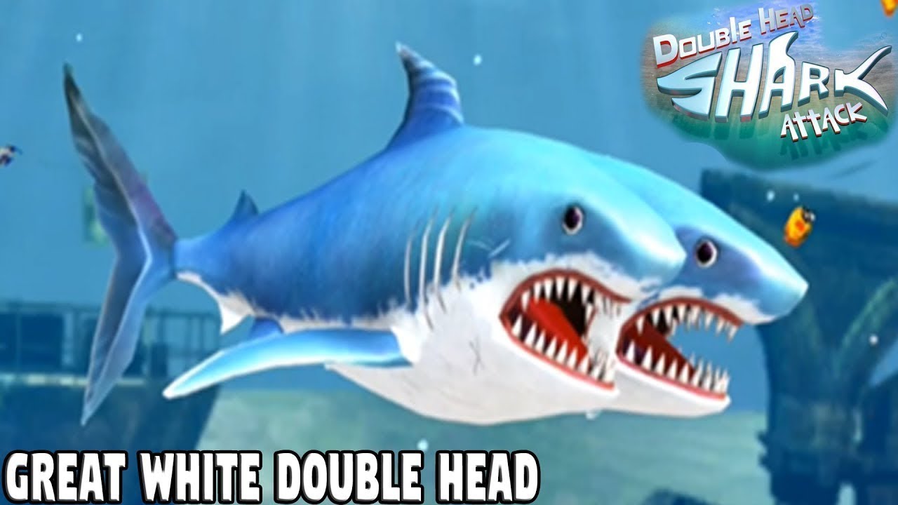 DOUBLE HEAD SHARK ATTACK # 2 Great White Double Head! THE 2 HEADED ...