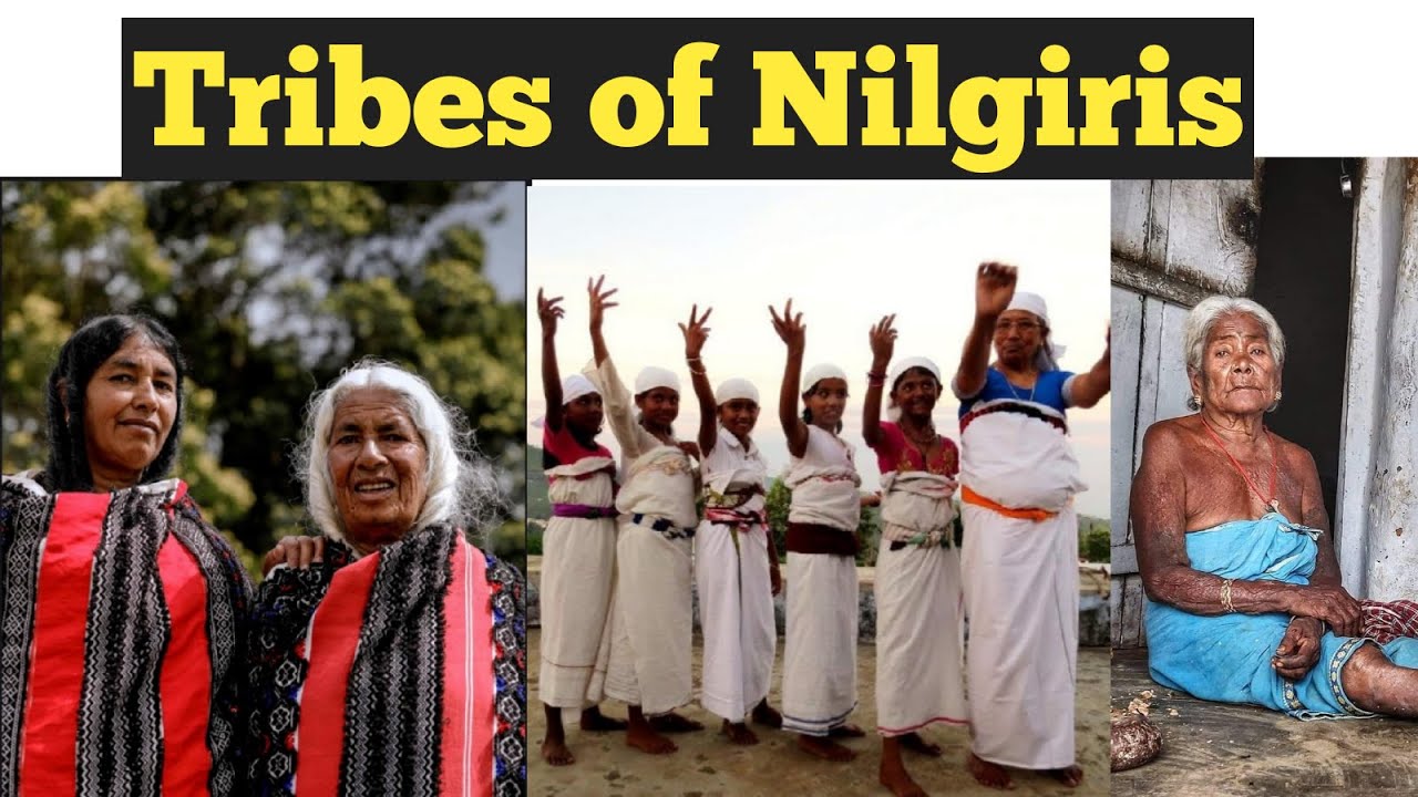 Tribes of Nilgiris / Nilgiri Tribes - YouTube
