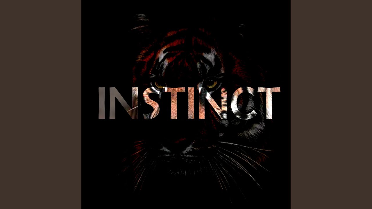 Instinct - YouTube