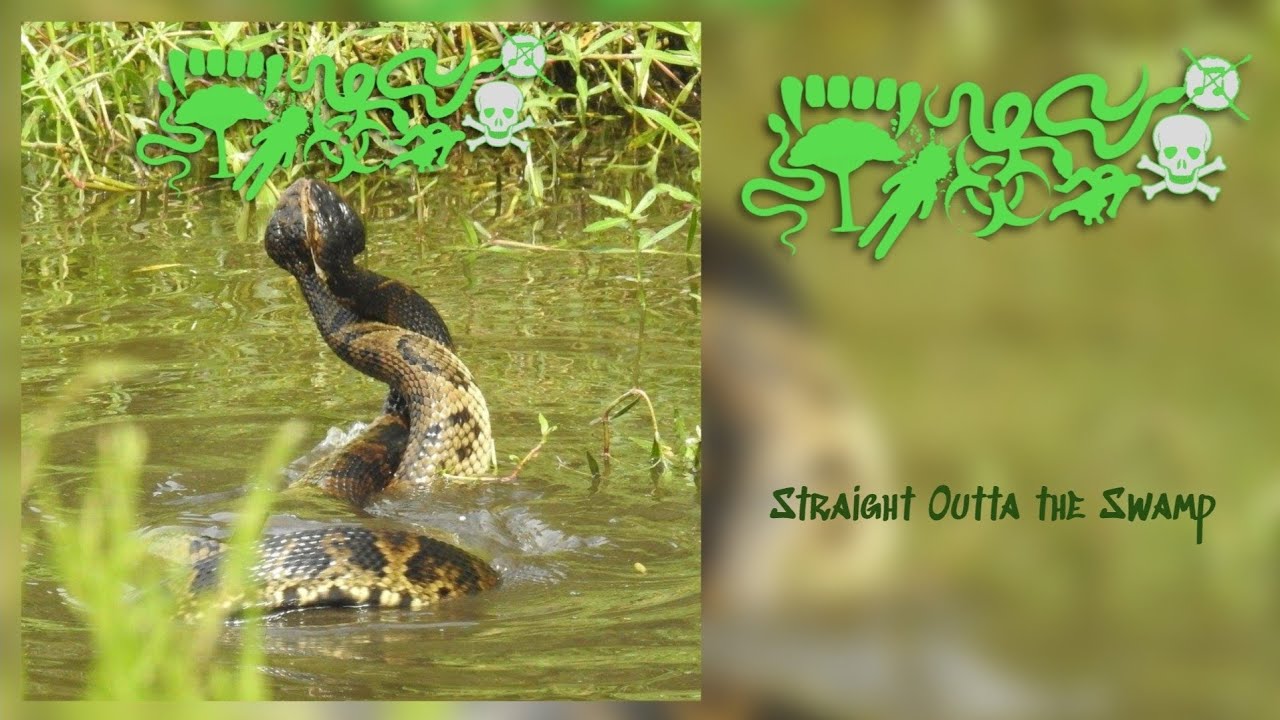 Atractaspididae - Straight Outta the Swamp [Full Album] (Harsh ...