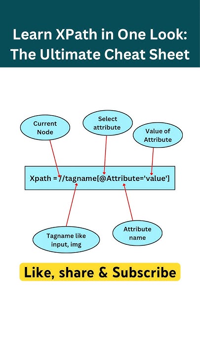 software selenium automation testing | xpath | how to create xpath in ...