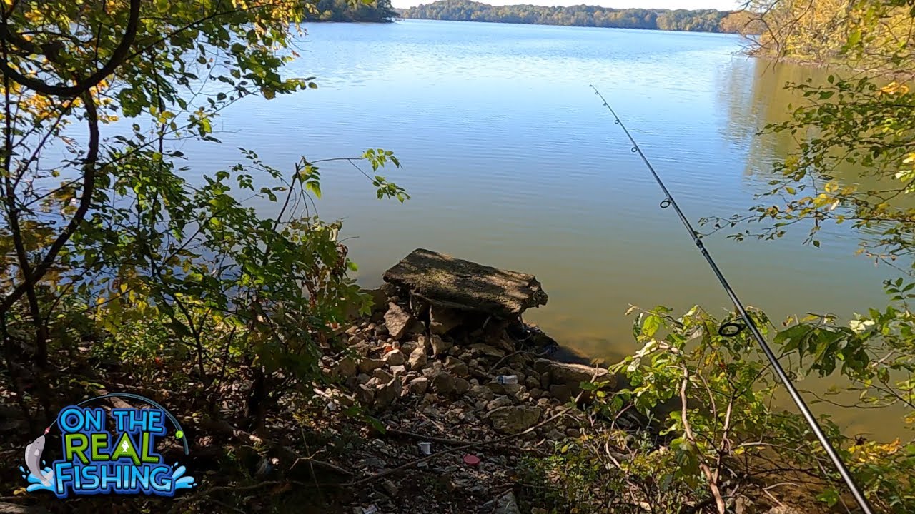 Chilly October Morning Bank Fishing Adventure! Shaking the Rust Off ...