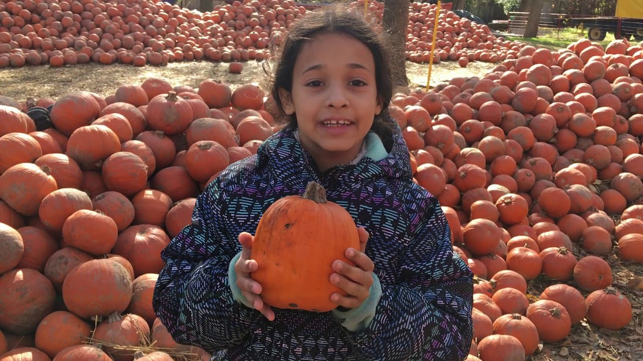 Playing in fresh Meadow Farm - YouTube