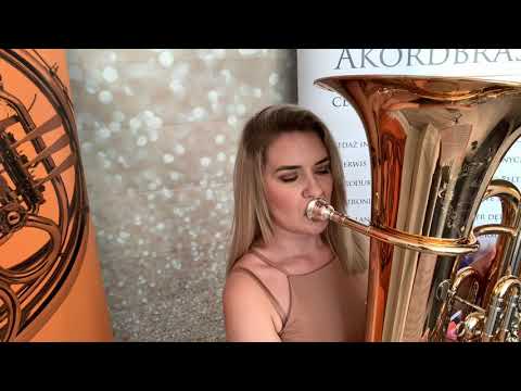 I Want You Back - The Jackson 5 [Brass Bass - Tuba Cover] - Cerveny Aria 3