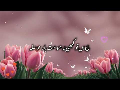 Naat status naat Islamic status 😍❤️