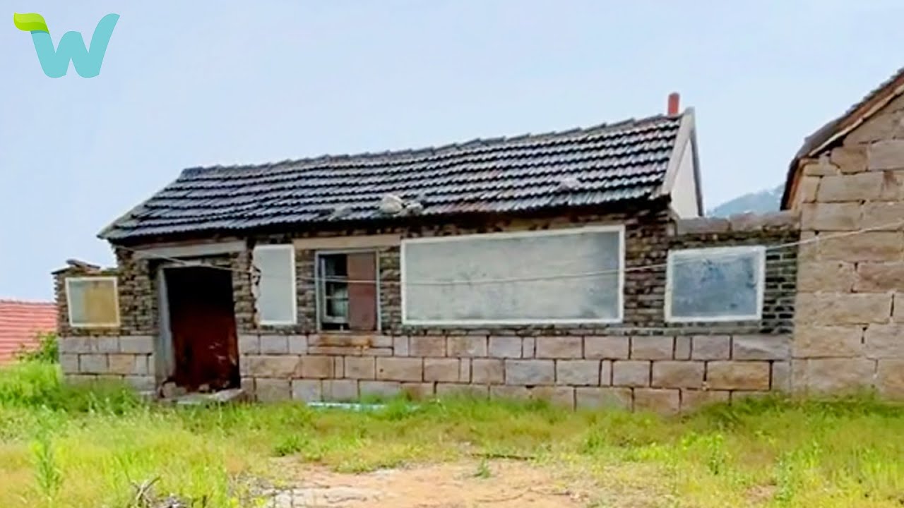 Single father returns to his hometown to renovate the old house and ...