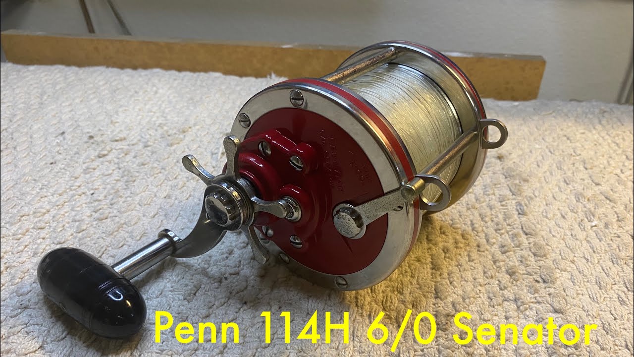 Penn 114H Special 6/0 Senator @thelefthandedshooter99 - YouTube