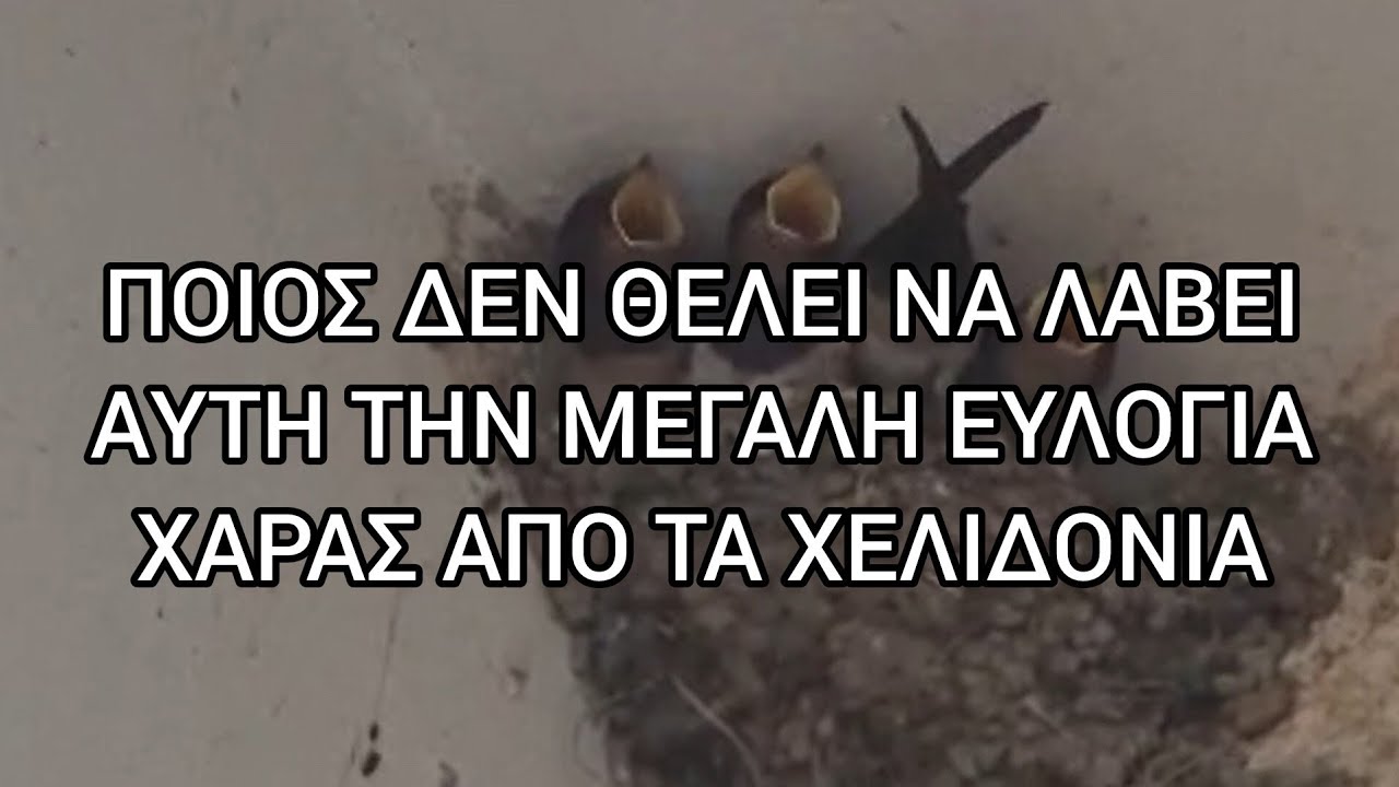 ΠΟΙΟΣ ΔΕΝ ΘΕΛΕΙ ΝΑ ΛΑΒΕΙ ΑΥΤΗ ΤΗΝ ΜΕΓΑΛΗ ΕΥΛΟΓΙΑ ΧΑΡΑΣ ΑΠΟ ΤΑ ΧΕΛΙΔΟΝΙΑ ...