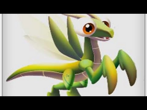 MANTIS DRAGON Review Combat Attacks Weakness in Dragon City FiveSeasons ...