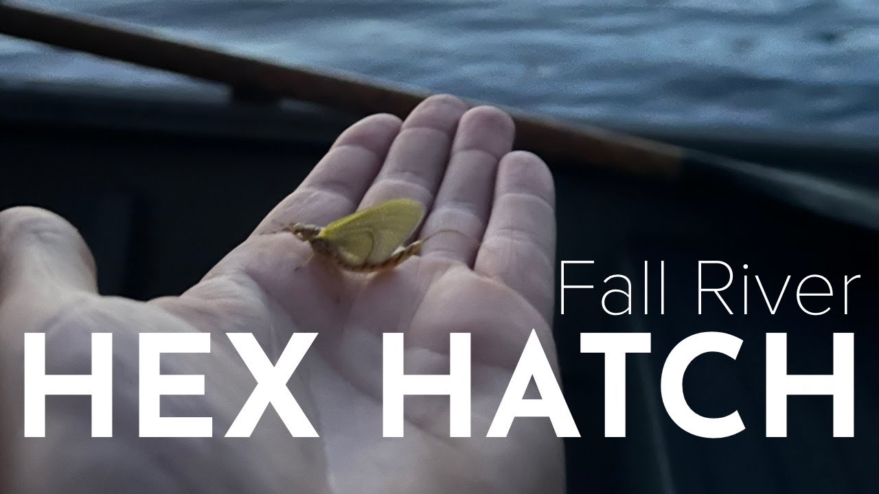 Hex Hatch is NOW || Fall River || Confluence Outfitters - YouTube