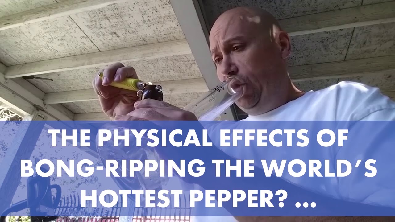 CHILLI PEPPER BONG HIT - YouTube