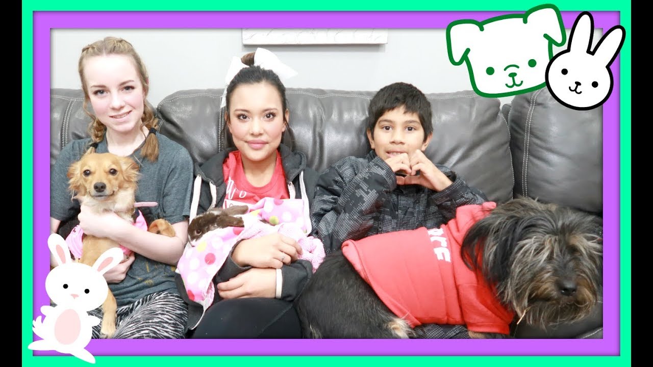 MEET OUR PETS! - YouTube