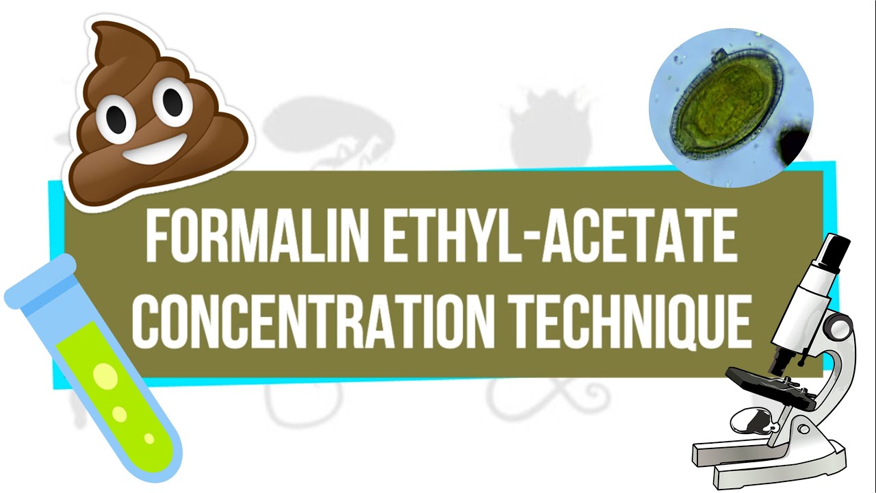 Formalin Ethyl-Acetate Concentration Technique (FEACT) | UPLB ...