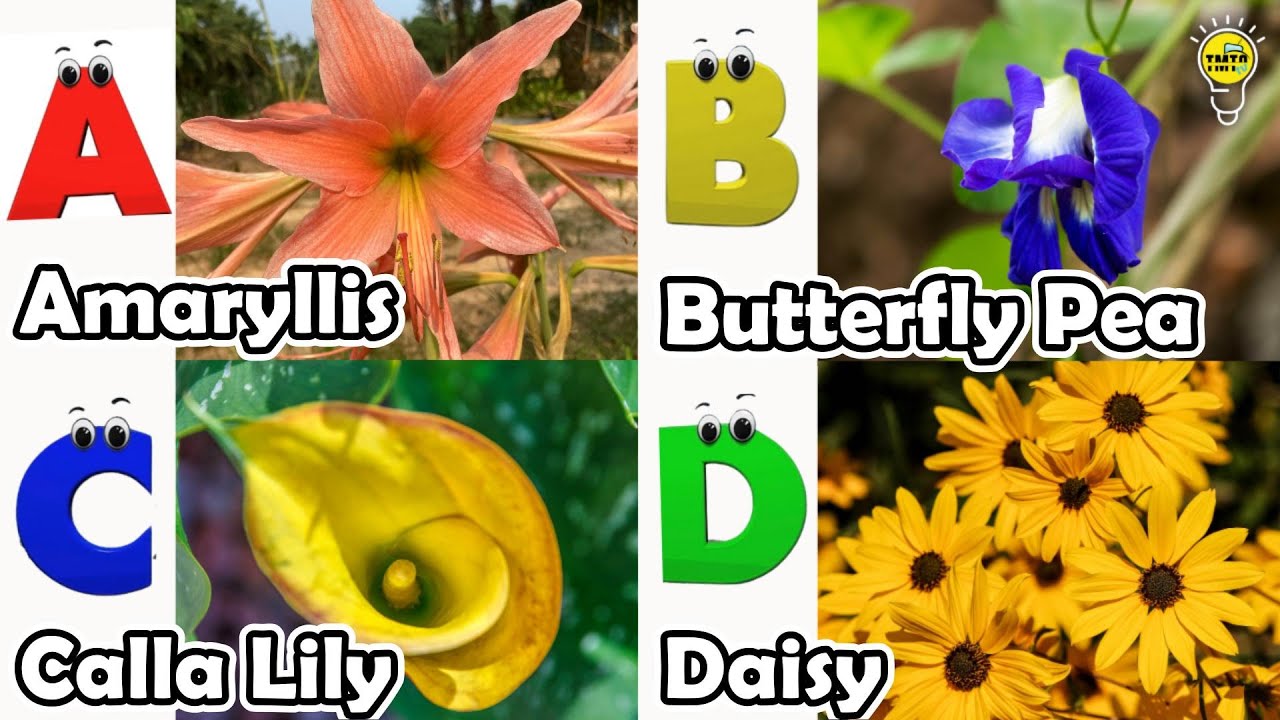 Flowers Alphabet Song | Flowers ABC Song | A to Z Flowers Names ...