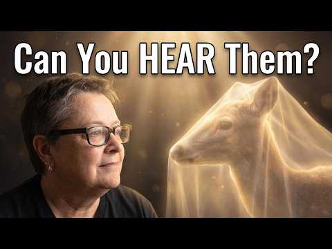 Animals Are Teaching Us About LIFE'S DEEP Connections