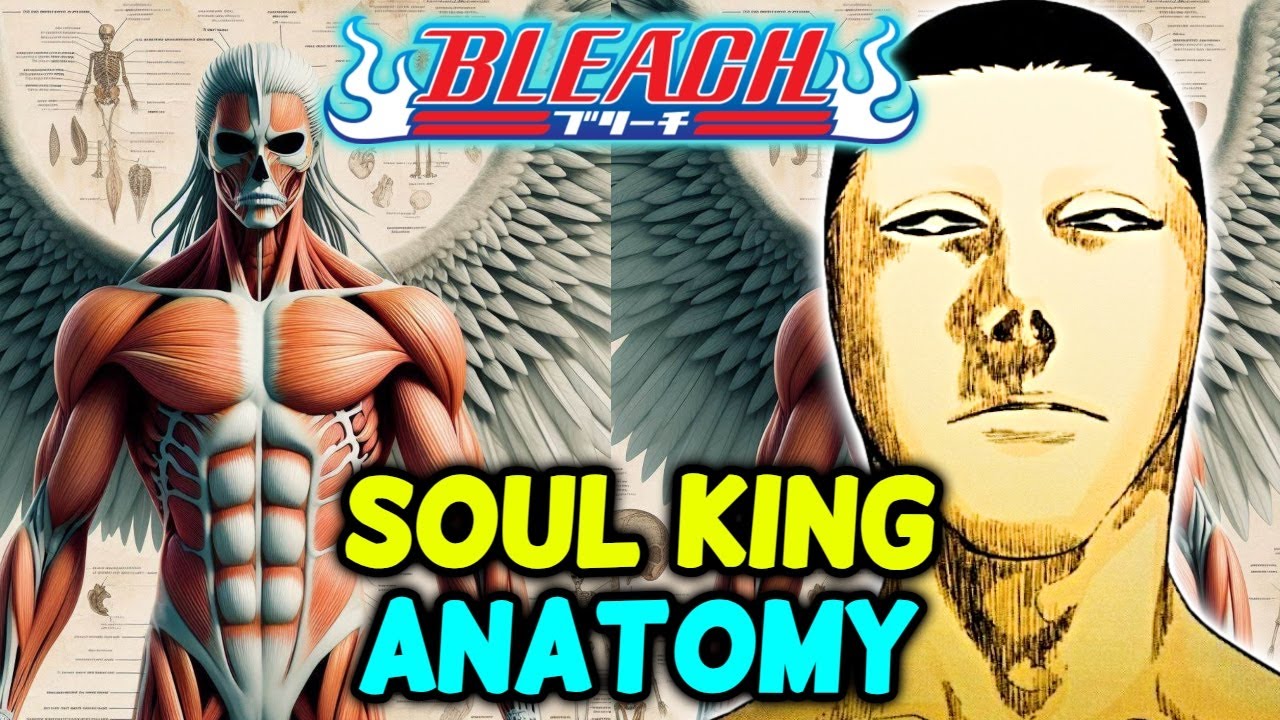 Soul King Anatomy - The Extremely Overpowered Character That Created ...