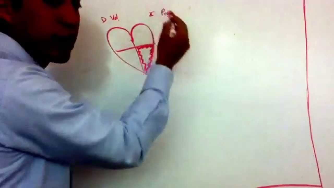 Desdoblamiento S2 - YouTube