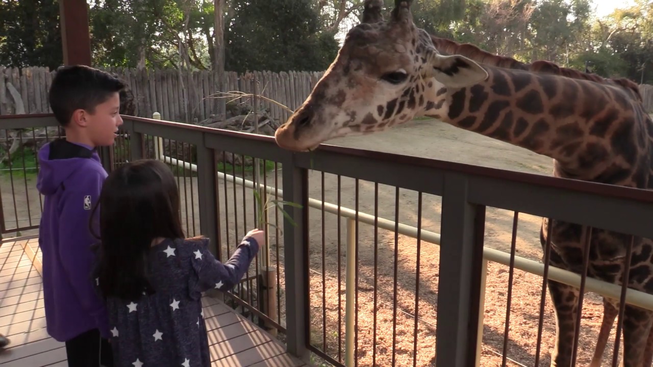 Kids Activities This Spring In Sacramento YouTube kids-activities-this-spring-in-sacramento-youtube