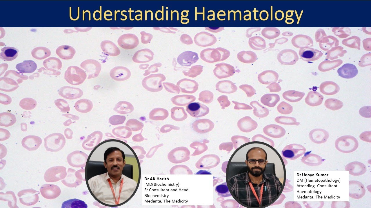 wbc morphology - YouTube