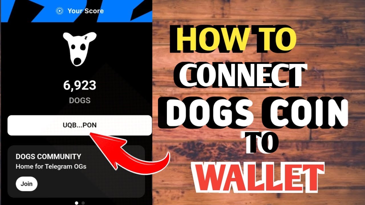 HOW TO CONNECT DOGS COIN TO WALLET #dogscoin - YouTube