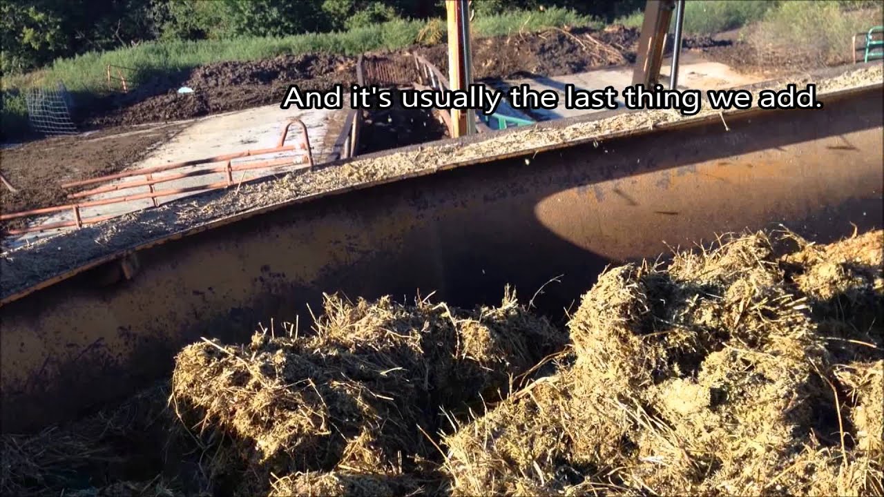Dairy Cow TMR Ration - YouTube