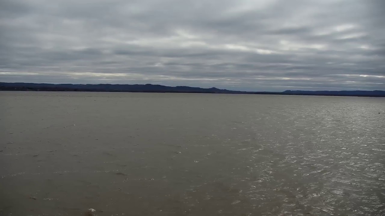 Mississippi River Flyway Cam