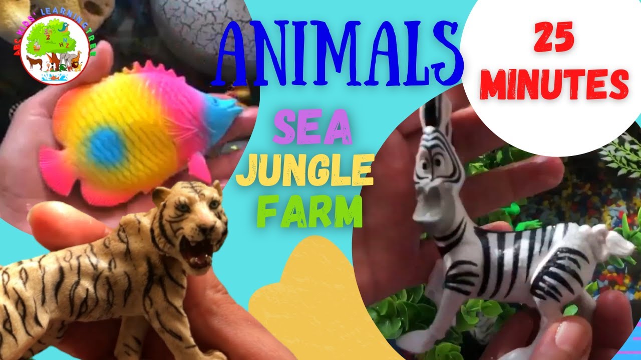Sea, Farm and Jungle Animal Compilation - Educational Video for Kids ...