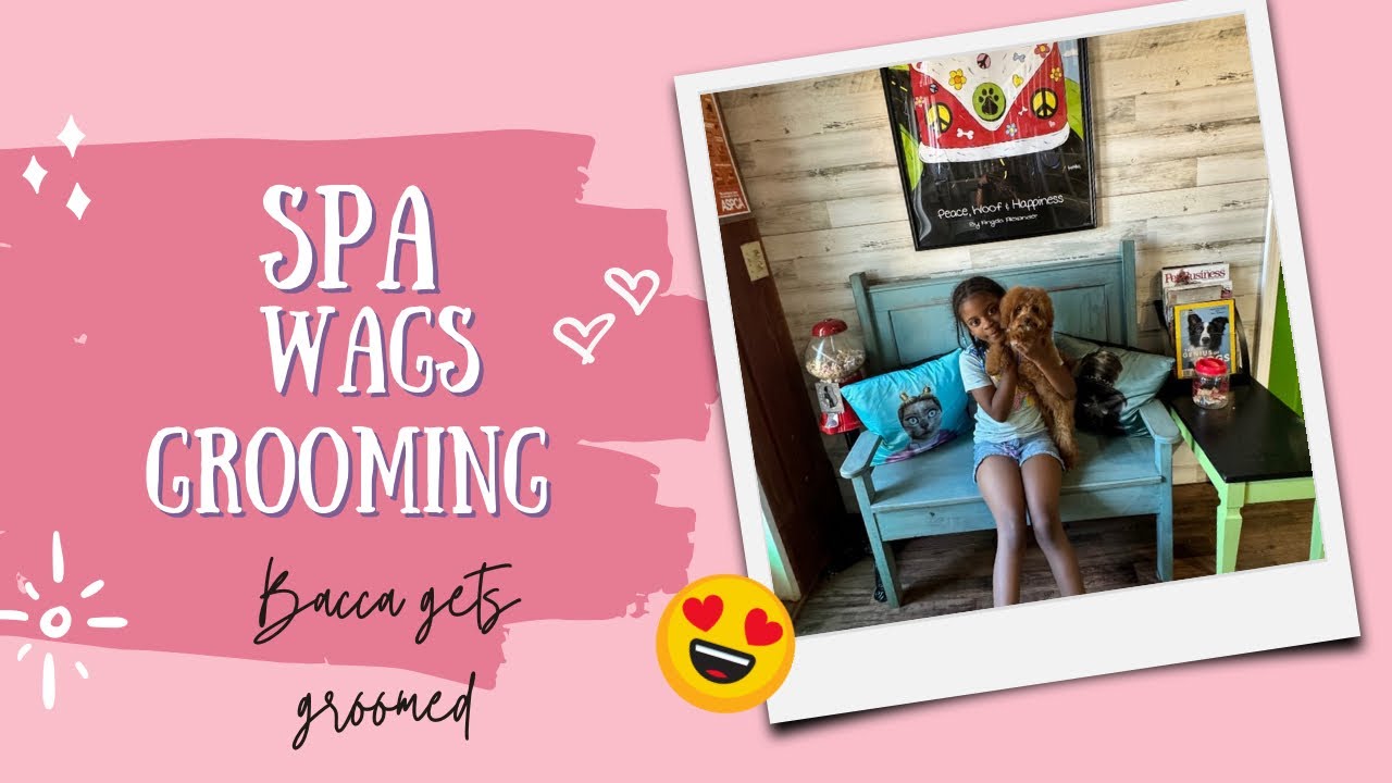 Bacca 1st groom appointment/ Spa Wags - YouTube