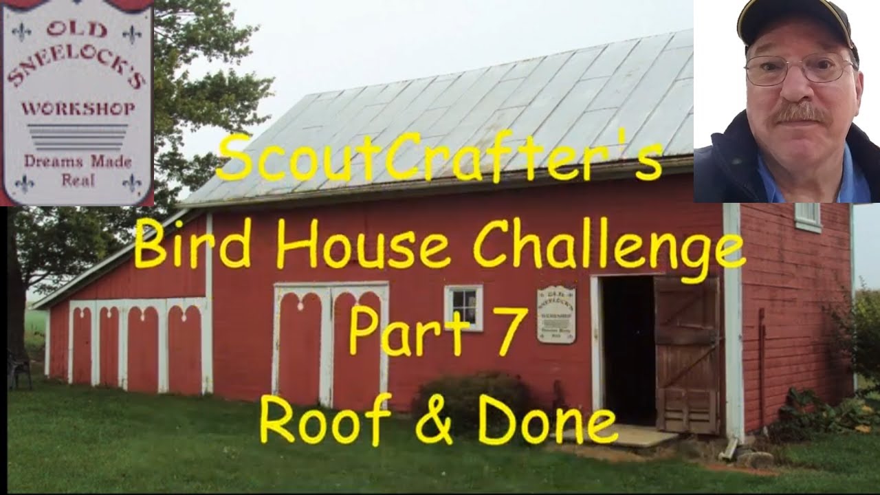 Scoutcrafter's Bird House Challenge Pt 7 Roof & Done - YouTube