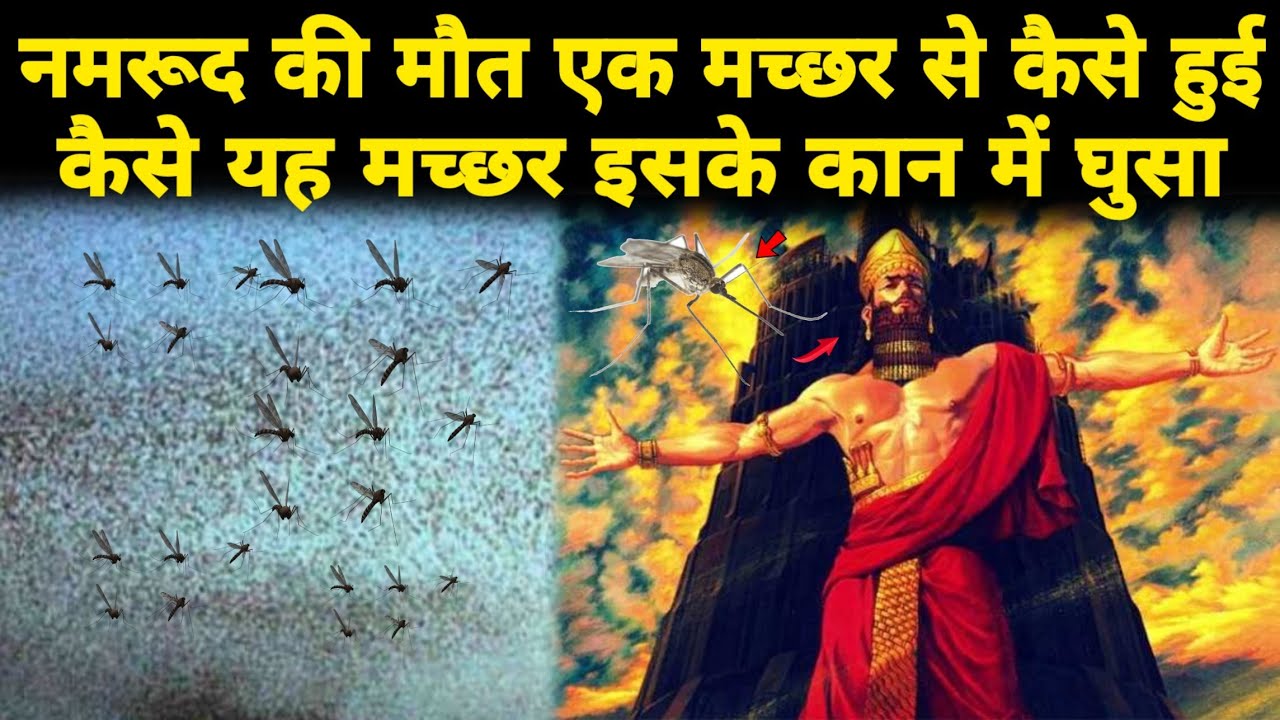 khudai ka dawa karne wale namrood ka ibratnak anjaam, कैसे हुई नमरूद की ...