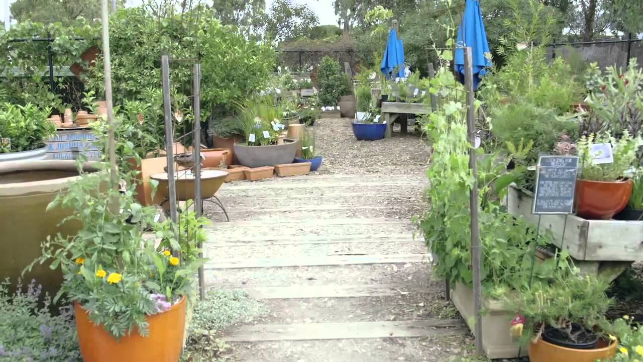 Ceres Environment Park - Melbourne Victoria - YouTube