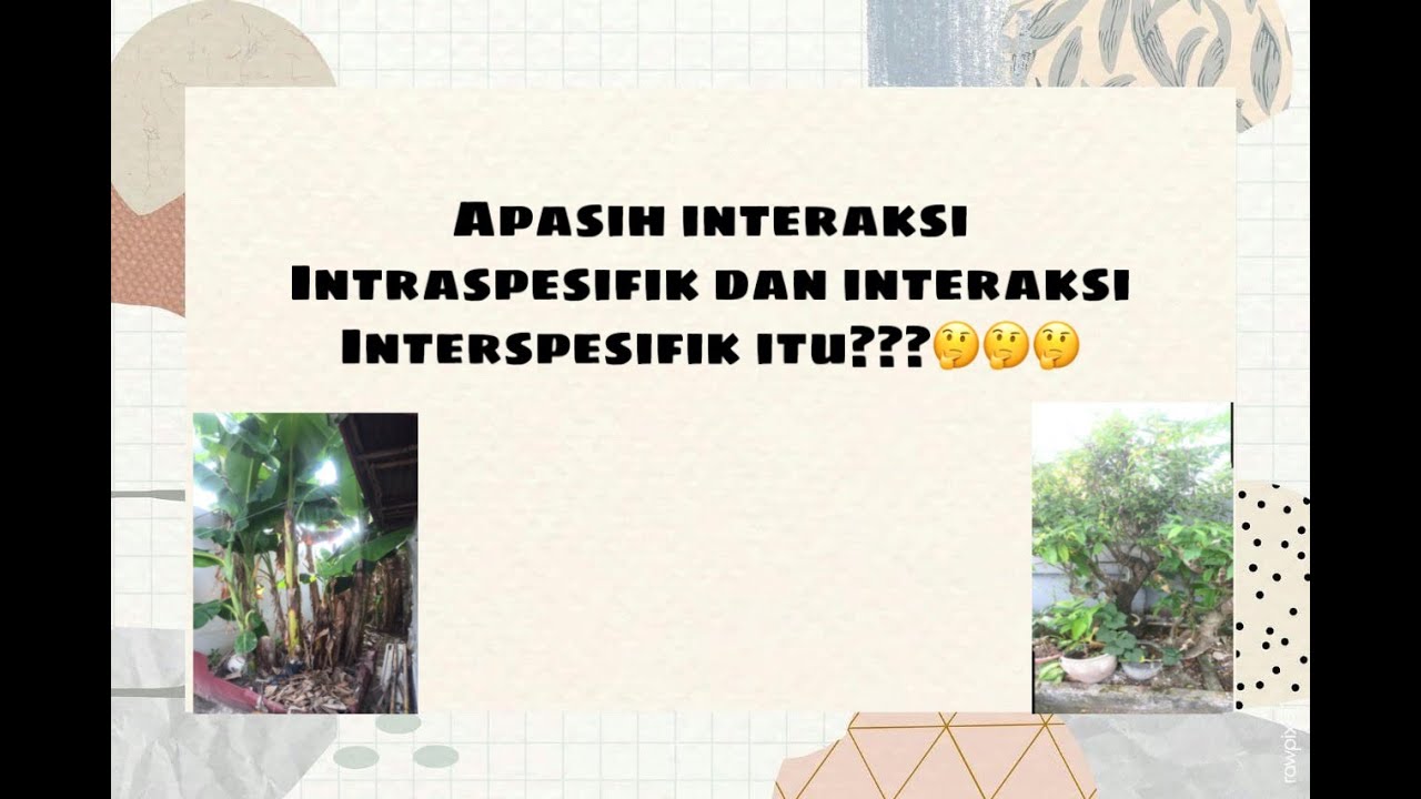 Interaksi Intraspesifik dan Interaksi Interspesifik (Ekologi Tumbuhan ...