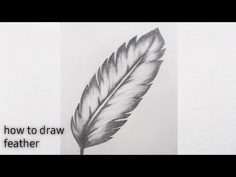 How to draw a realistic feather | Step by step pencil sketch drawing # ...