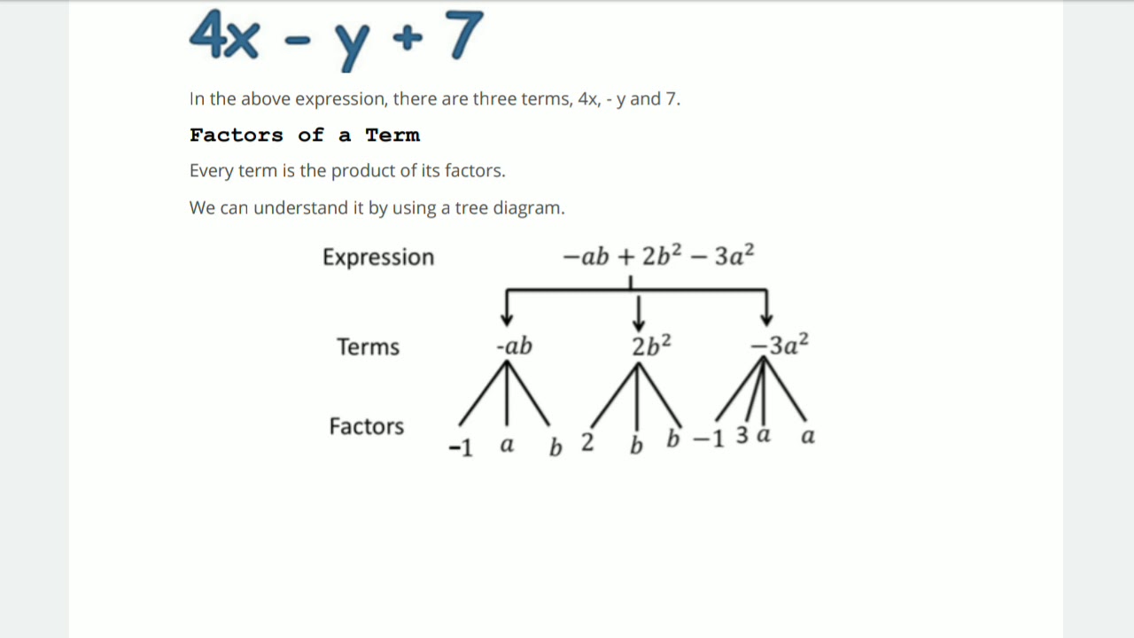 Algebraic Expressions Part 1 - Youtube