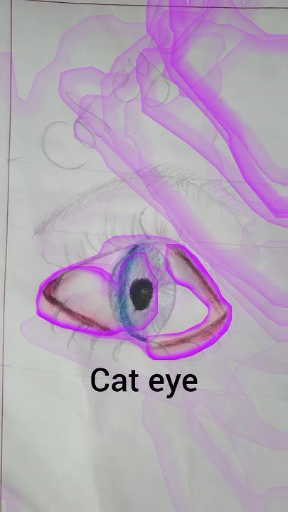 Cat Eye Drawing Art Youtube