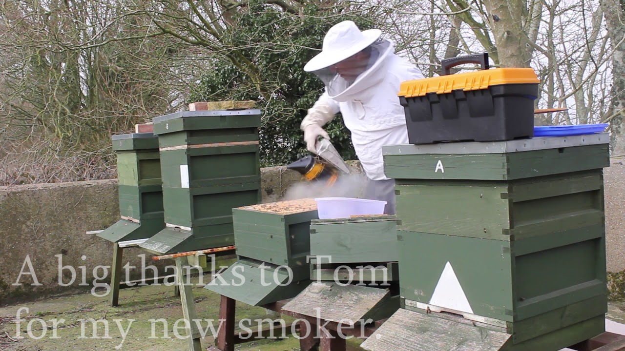 Beekeeping uk spring build up part 2 - YouTube