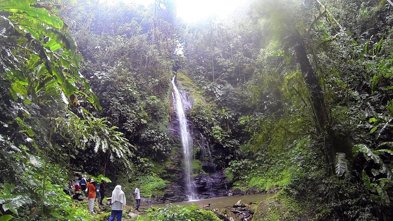 🇹🇹 160306 4 of 4 Trinidad Ride - Brasso Seco to Double Head Waterfall ...