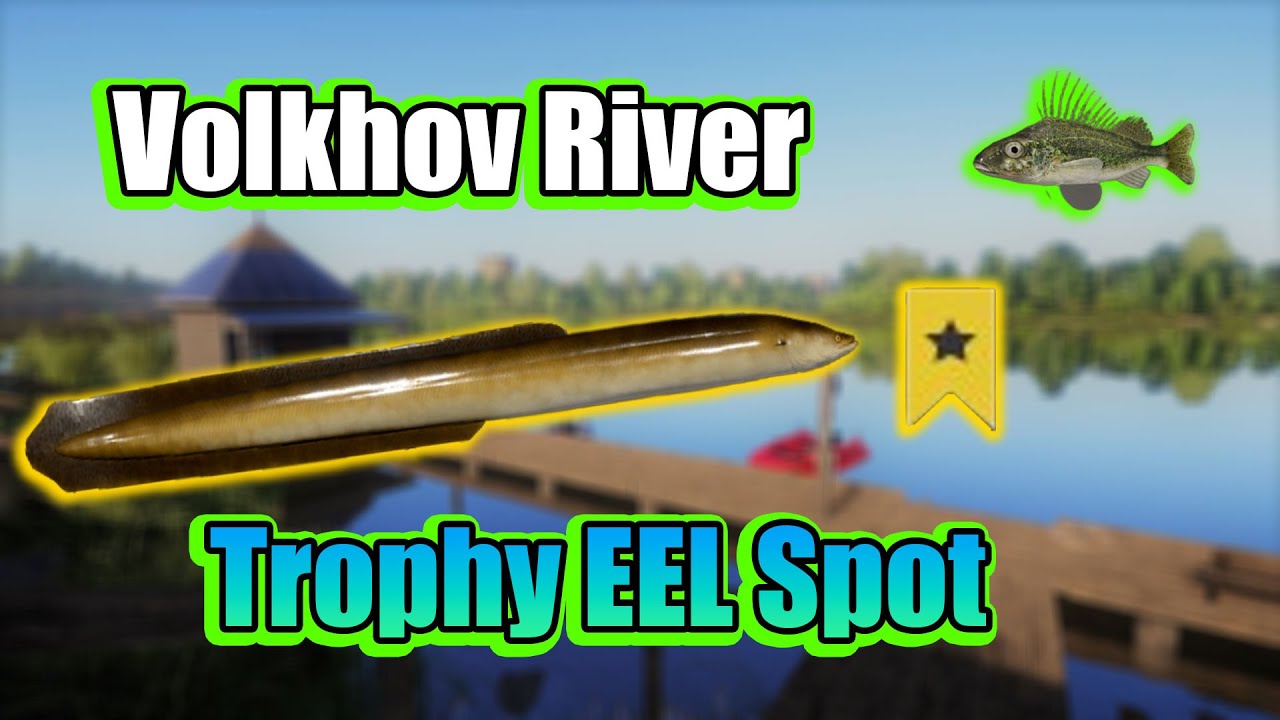 🎣Russian Fishing 4 RF4 - Volkhov River Eel Trophy Spot#310 - YouTube