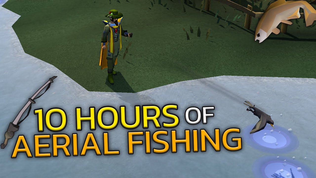 Loot From 10 Hours Of Aerial Fishing - YouTube