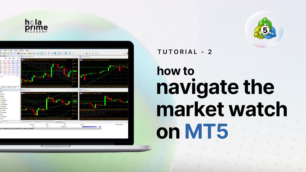 How to Navigate the Market Watch on MT5 | Hola Prime - YouTube
