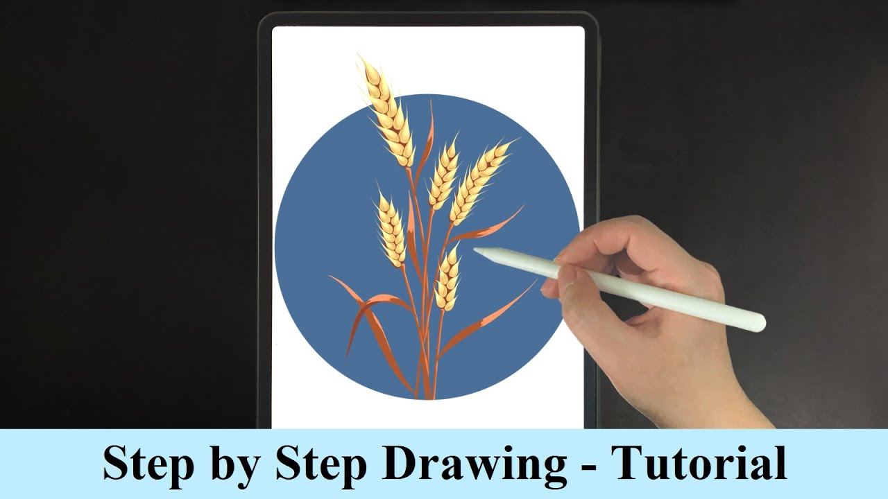 Wheat Hay Procreate Drawing Tutorial - Step by Step iPad Drawing - YouTube