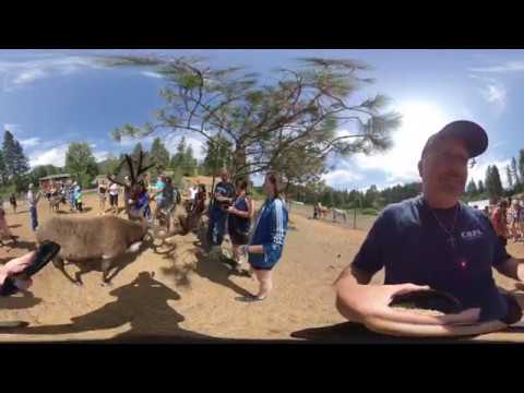 Insta360One X Reindeer Farm Leavenworth WA  2 (Must See)