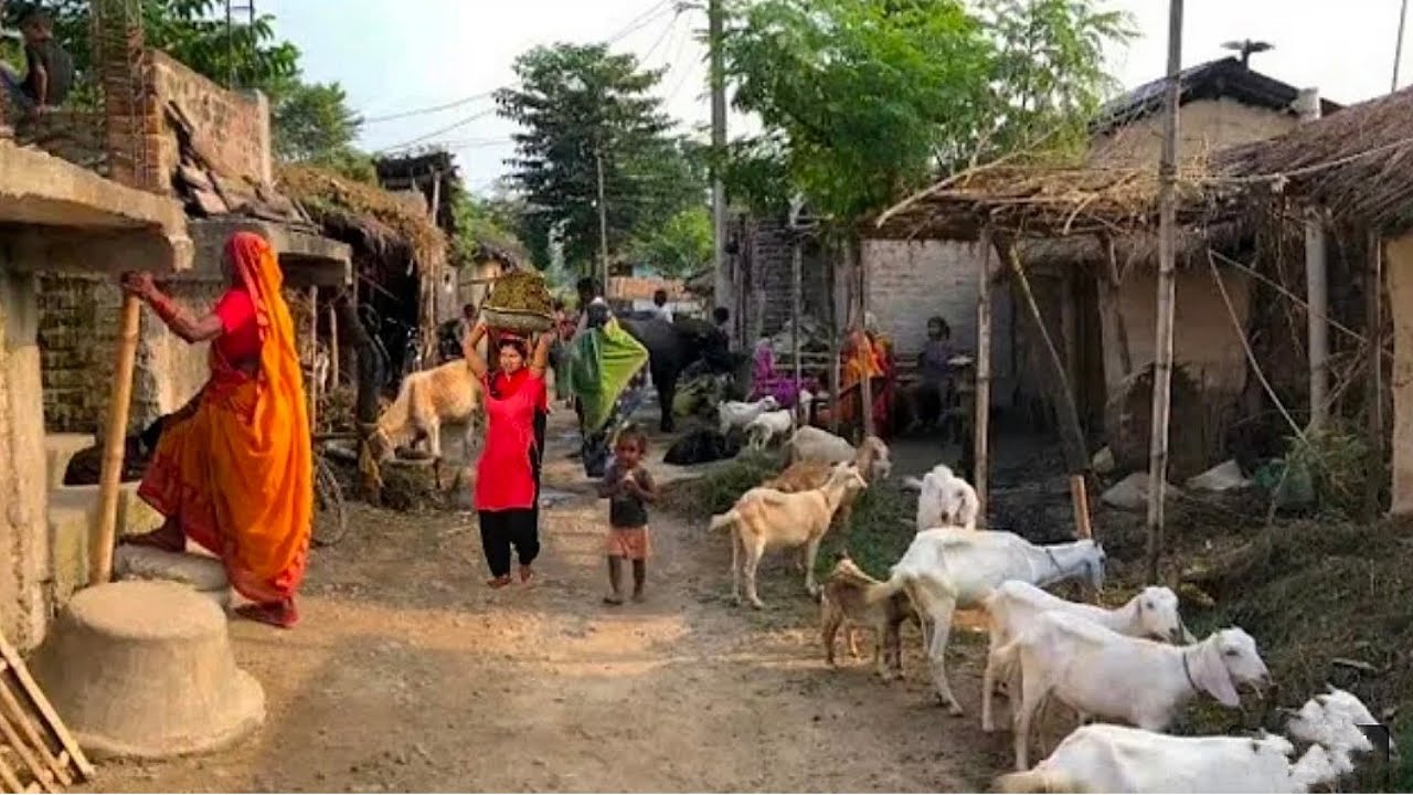 Life Of The Poor In India Village Life Of The Poor People In The ...