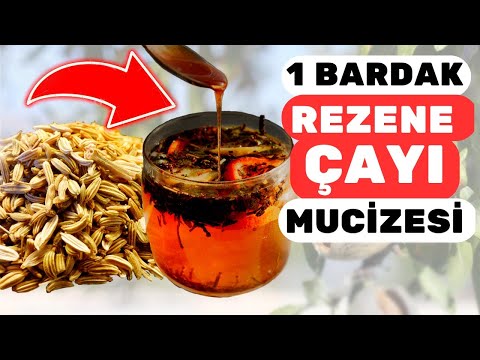 Sadece 1 Bardak Rezene Çayı Vücudunuza Bunları Yapıyor | Rezene Çayının Zararları Nelerdir?