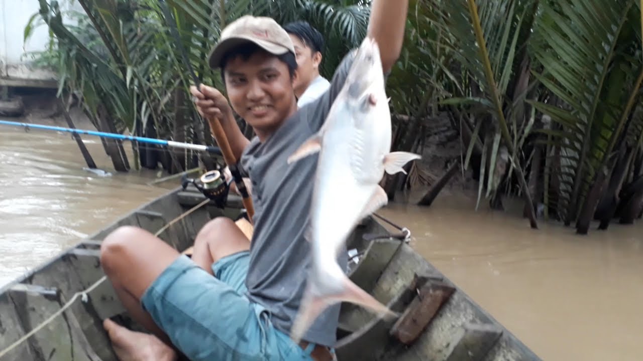 CÂU CÁ TRA SÔNG VÀ MỒI CÂU CÁ TRA [ LẦY LỘI LẮM ] | HUYNH KHOA FISHING ...