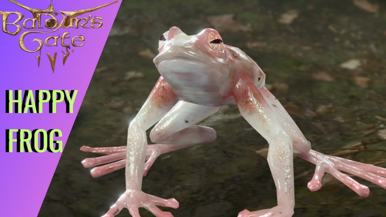 Happy Frog Meme